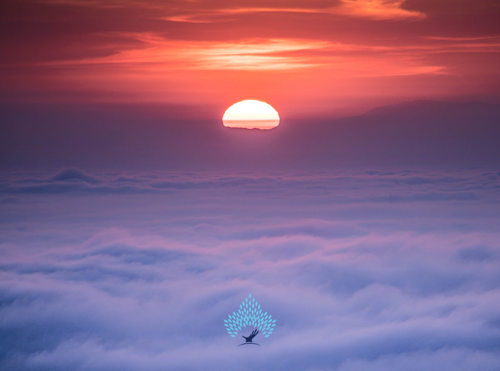 A Beginner's Guide to Fog Photography