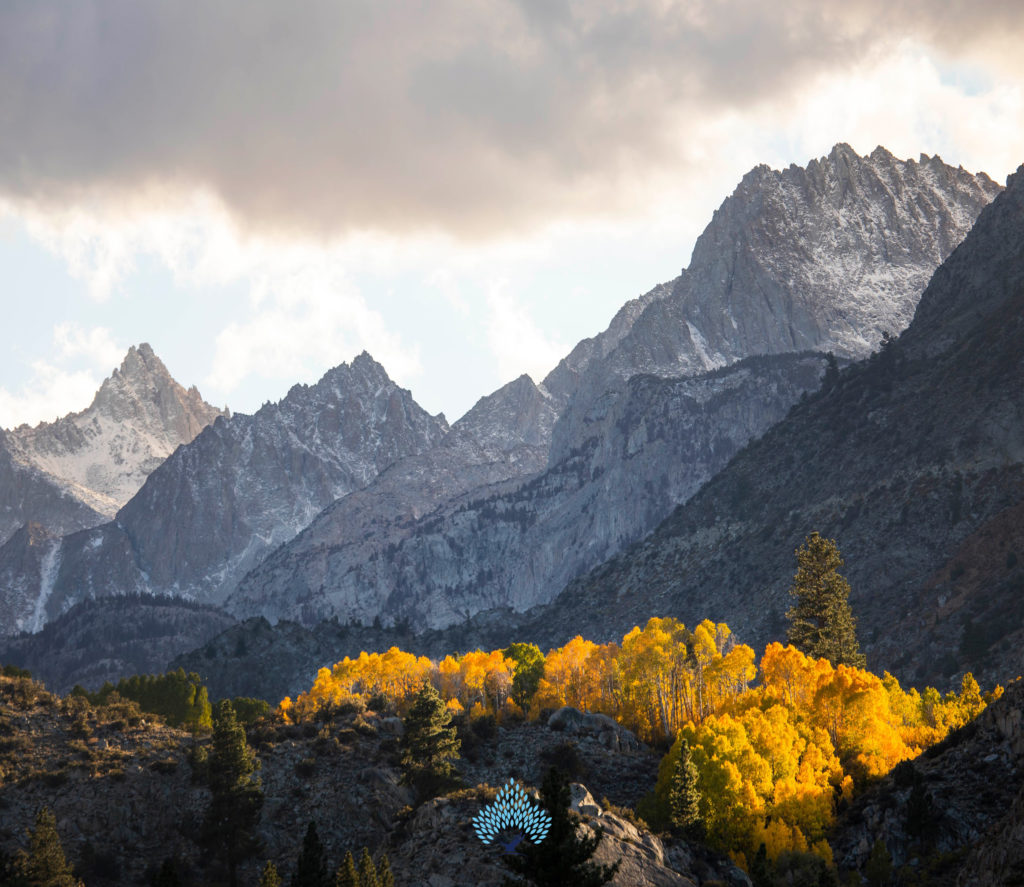 Where to See the Best Fall Colors In California