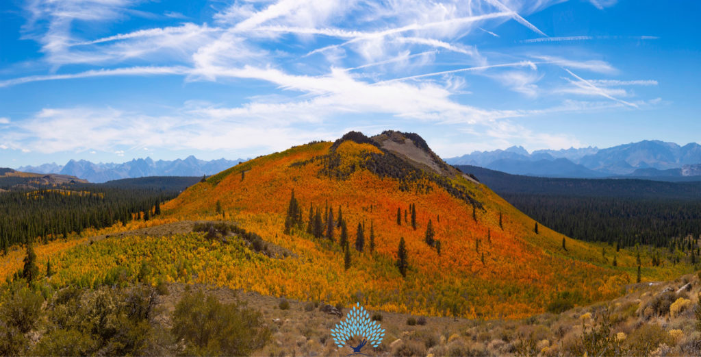 Where to See the Best Fall Colors In California