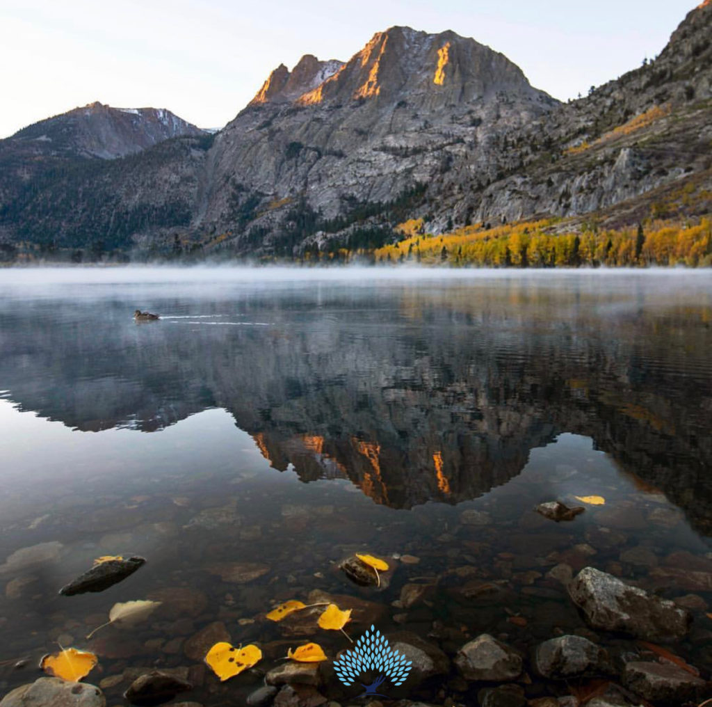 3 Step Guide to Perfect Exposure