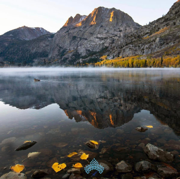 3 Step Guide to Perfect Exposure
