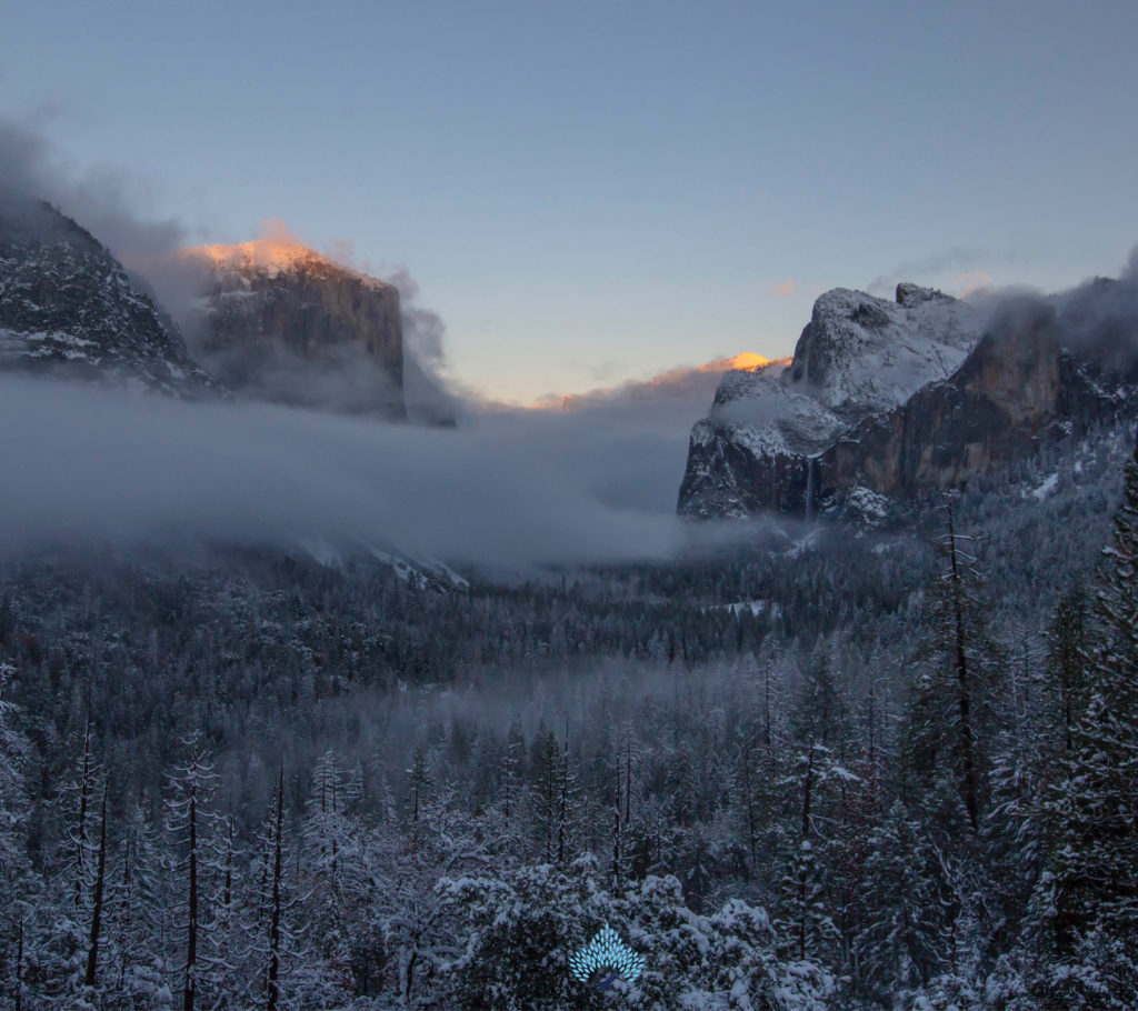 A Beginner's Guide to Fog Photography