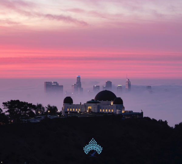 A Beginner's Guide to Fog Photography