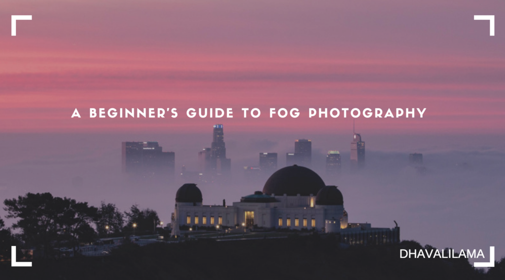 A Beginner's Guide to Fog Photography